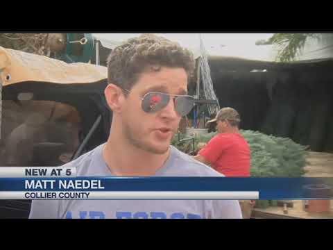 Vendors say there's a shortage in larger Christmas trees