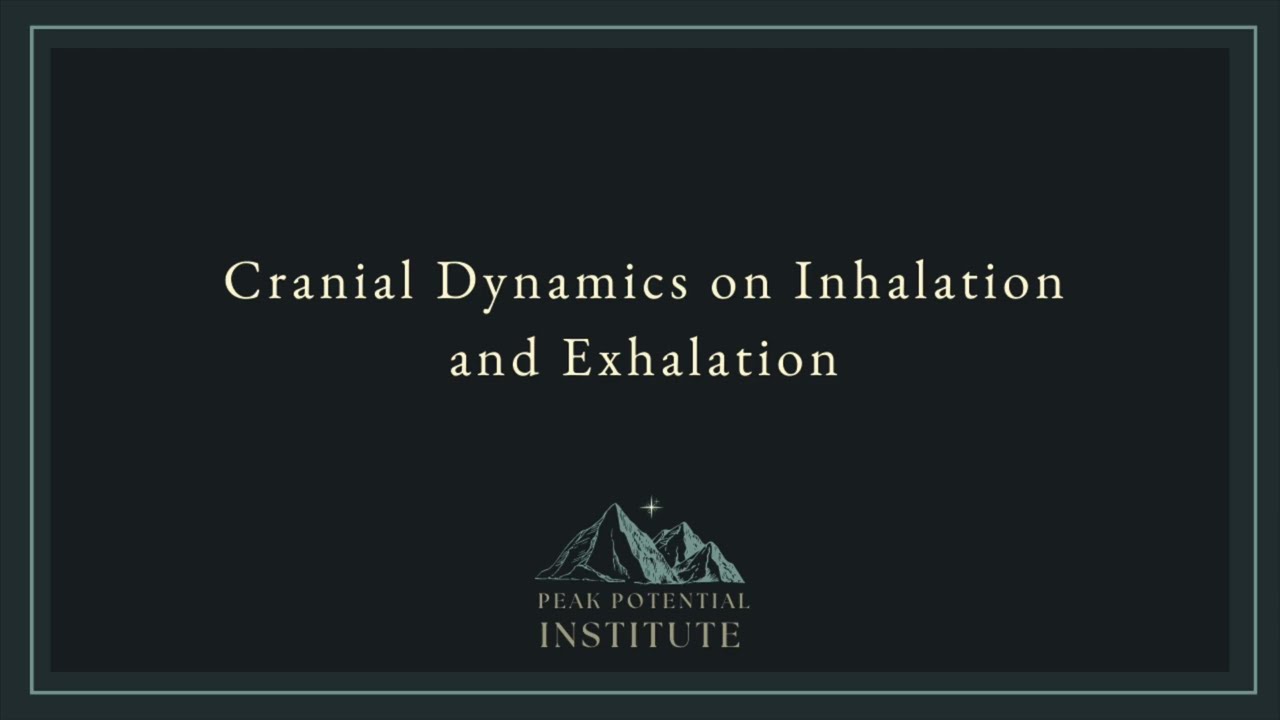 Cranial-Sacral Motion Explained: CSF Flow, Inhalation, and Exhalation Dynamics