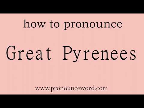 Great Pyrenees. How to pronounce the english word Great Pyrenees .Start with G. Learn from me.