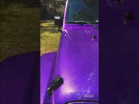 Hendrix Purple with Crazy Ex Colorshift splatter