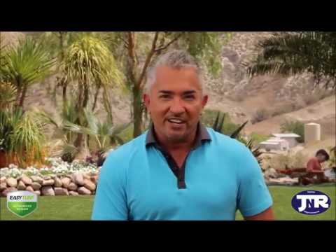 Cesar Millan Chose EasyTurf Artificial Turf For His Dog Psychology Center In Valencia