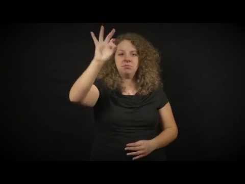 Talking With Your Hands Vocabulary: Chapter 4 *