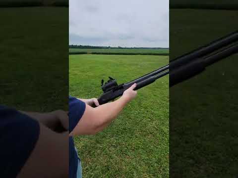 This week's 12 Gauge: Mossberg 500