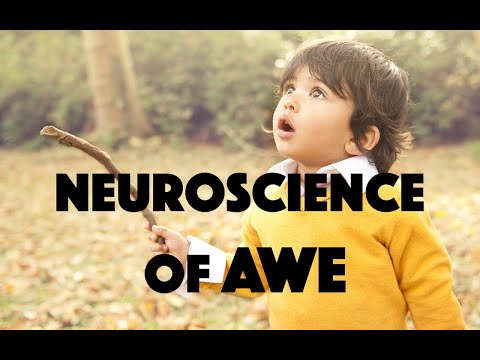 The Neuroscience of Awe / Review of Dr. Dacher Keltner's book Awe