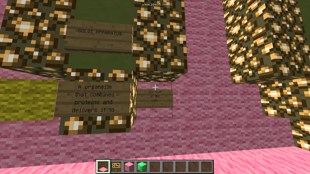 Lockview, Animal Cell in MineCraft