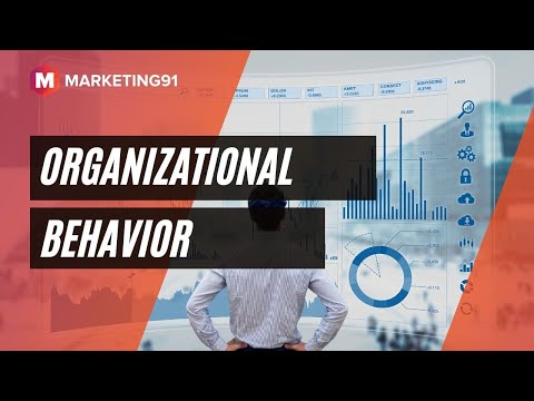 Organizational Behavior - Meaning, Models, Importance, Challenges & Cross-Cultural Dynamics (Mgt 13)