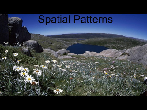 Spatial Patterns Kosiciuszko