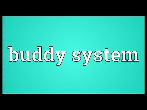 Buddy system Meaning