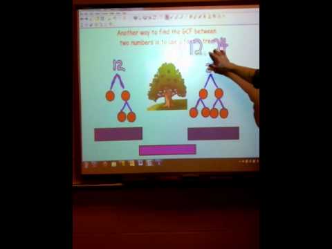 Greatest Common Factor (GCF)