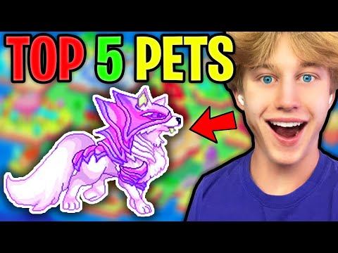 The TOP 5 *BEST* PETS IN PRODIGY???!!!