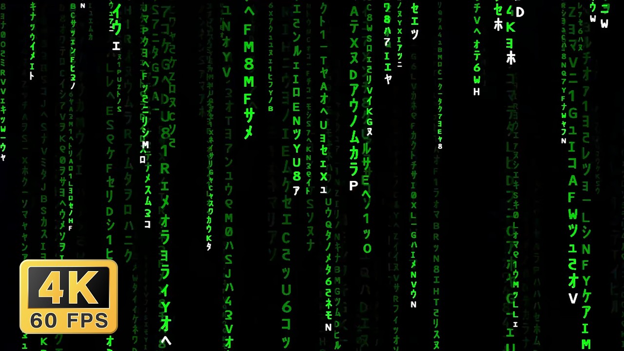 Digital rain (Matrix style) for 1 hour - 4K 60fps