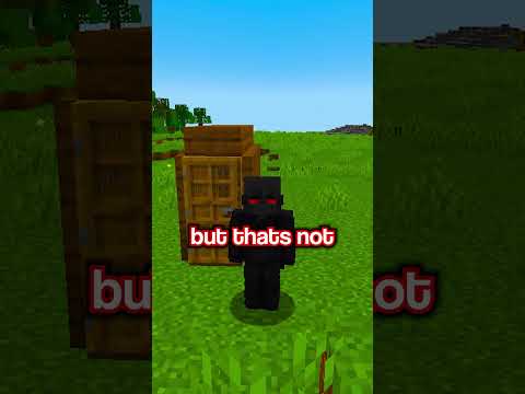 The SMALLEST house in minecraft #shorts