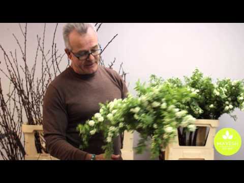 The Mayesh Minute: Spirea