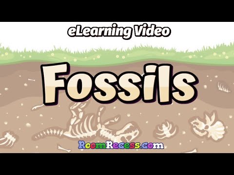 Fossils - eLearning Science Lesson for Kids