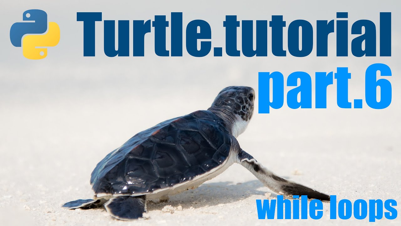 Python Turtle Tutorial - Lesson 6 - While loops