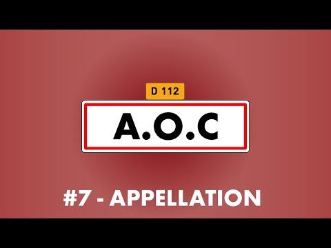 Vin'Stache #7 : L'Appellation d'Origine Compliquée ? Les Vins AOC - Partie 1 | English Sub