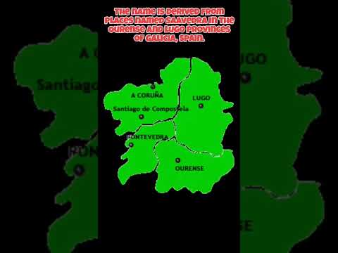 Saavedra Surname - Quick Facts #surnames #history #saavedra