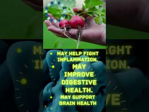 Scientific name of beetroot is Beta vulgaris subsp. vulgaris Conditiva Group #like #youtubeshorts