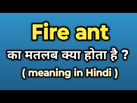 Fire ant Meaning in Hindi || Fire ant Ka Kya Matlab Hota Hai | Words Tube