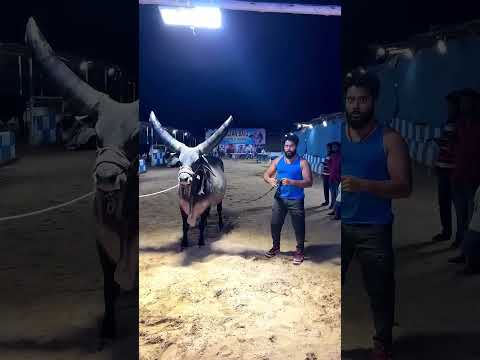 Fahad Bhai ππ. #trending #shorts
