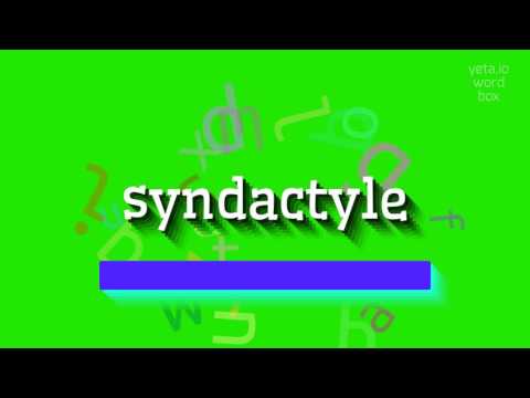 HOW TO PRONOUNCE SYNDACTYLE?