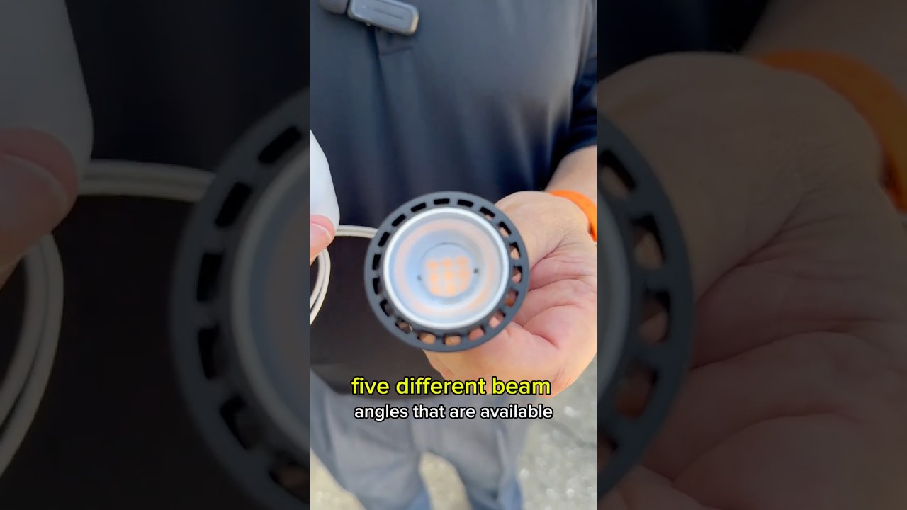 NEW Dauer MR16 LED Lamp Overview