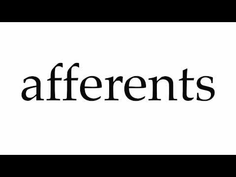 How to Pronounce afferents
