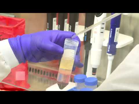 Indy Central Lab Specialty Testing