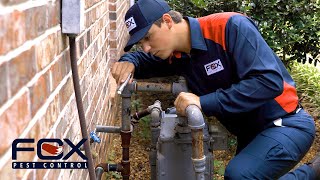 3 Best Pest Control Companies in Baton Rouge, LA - Expert Recommendations