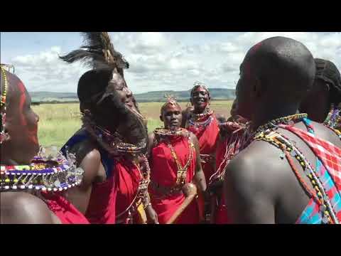 Kenya Highlights