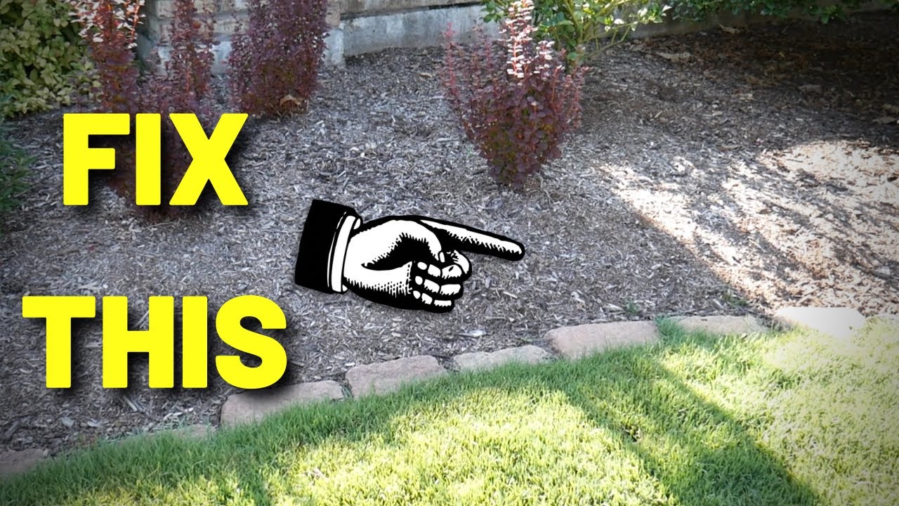 Colorback Mulch Dye - Simple & Affordable Way To Make Mulch Look New Again!