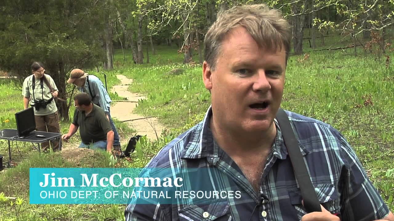 Tiny camera explores ant colonies