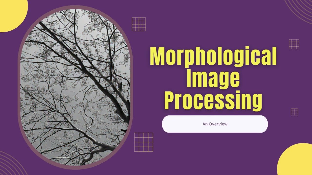 Morphological Image Processing (DM project)