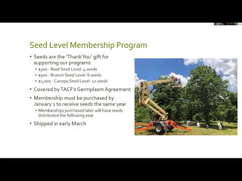 Chestnut Chat: How to Obtain, Grow, and Manage American Chestnuts
