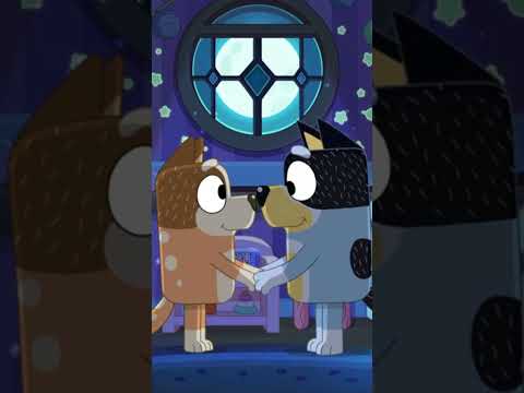 Bandit's Real Age (2025)