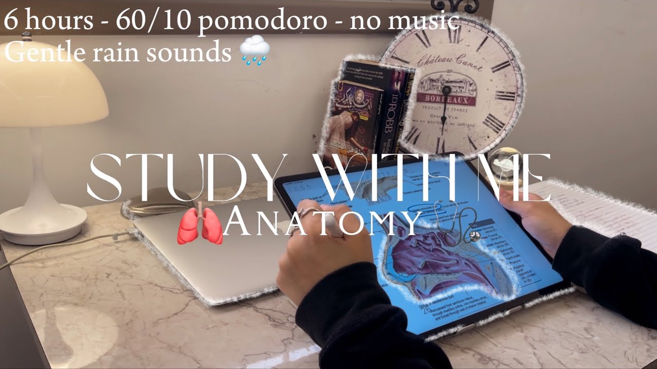 Study with me ANATOMY 🫁 | 6 hrs - 60/10 pomodoro - no music