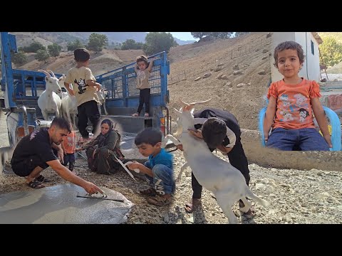 Hamidโs Tough Choice ๐ | Selling Goats & Kids for His Familyโs Future ๐โก๏ธ๐ก