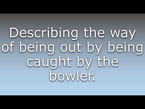 What does Caught and bowled mean?
