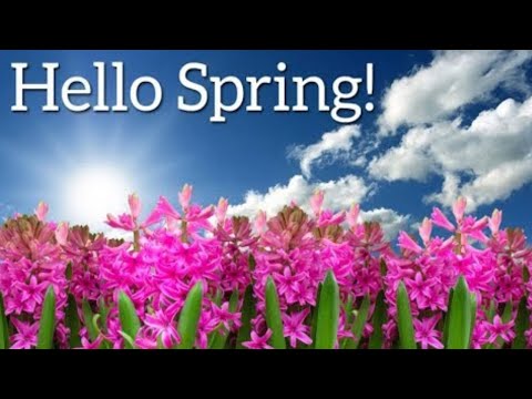 🌼Spring Vocabulary | Educational Videos For Kids👧 | Learn English For Kids👦