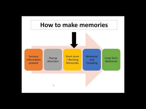 How the Science of Learning Should Inform Teaching