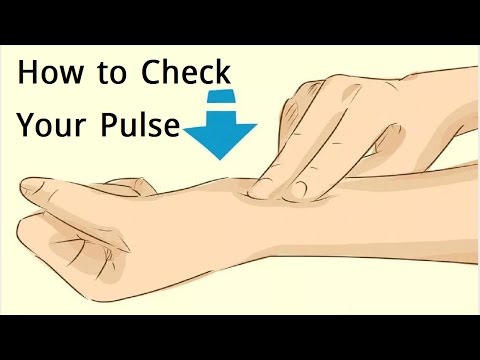 How to Check Your Pulse Rate Manually | Check Your High Pulse Rate ...