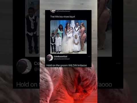 On my wedding day. #stories #cat #shorts #memes #meme