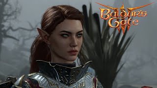 Baldur's Gate 3 modded part 13 Redcap Swamp at Baldur's Gate 3 Nexus - Mods and community