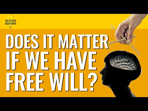 183. Does Free Will Exist, and Does It Matter? | No Stupid Questions