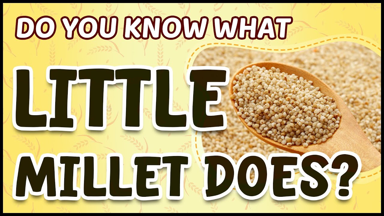 Do you know what Little millet does? | Little Millet #millets #littlemillets #samalu