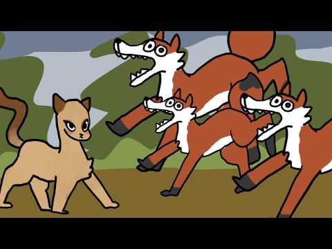 I spoil Tigerstar and Sasha for everybody