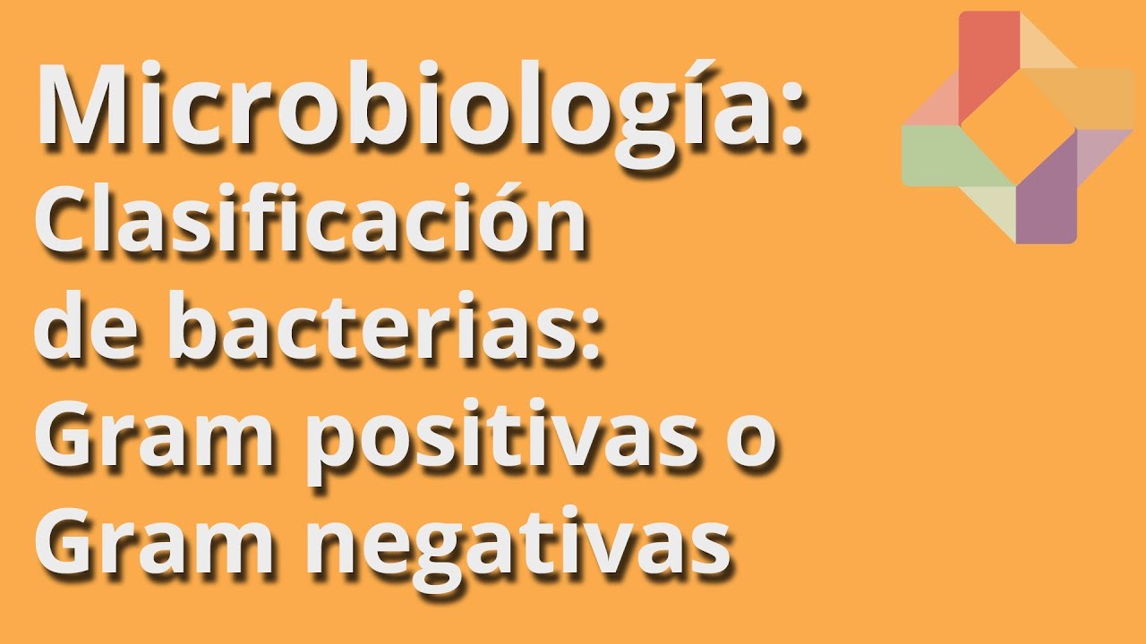 Clasificación de bacterias: Gram positivas o Gram negativas - Microbiología - Educatina
