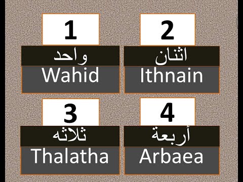 Learning Arabic numbers from 1-20- how to speak Arabic