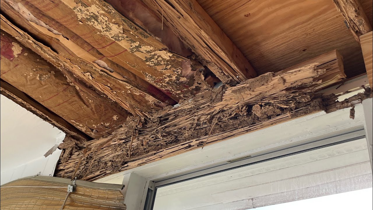 What Does Subterranean Termite Damage Look Like?