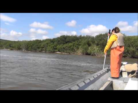 Dipnetting Salmon on the Yukon River 2013
